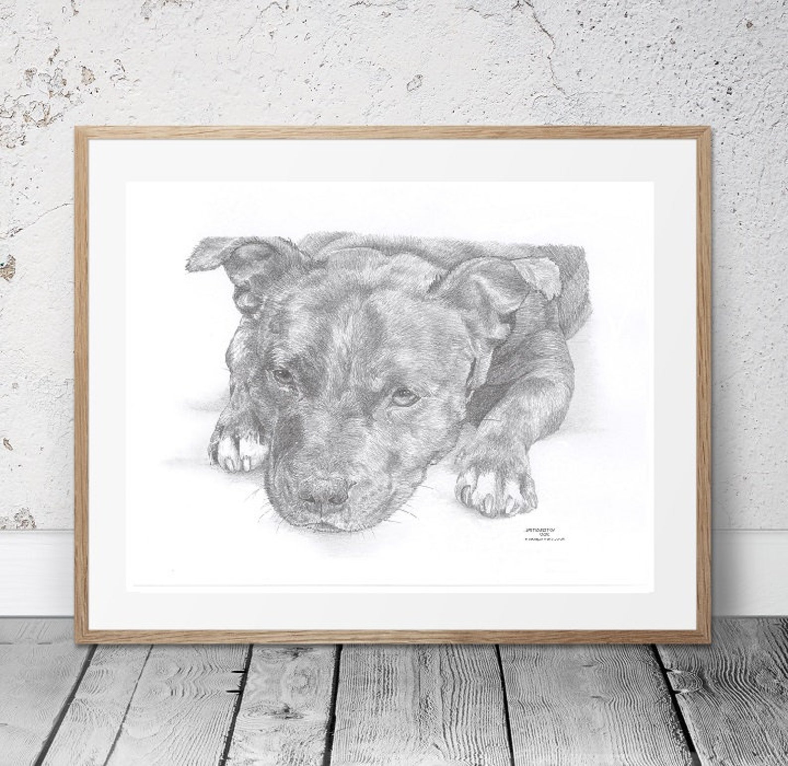 Staffordshire Bull Terrier, Staffie, Staffy Dog no.2 Art Drawing Prints ...