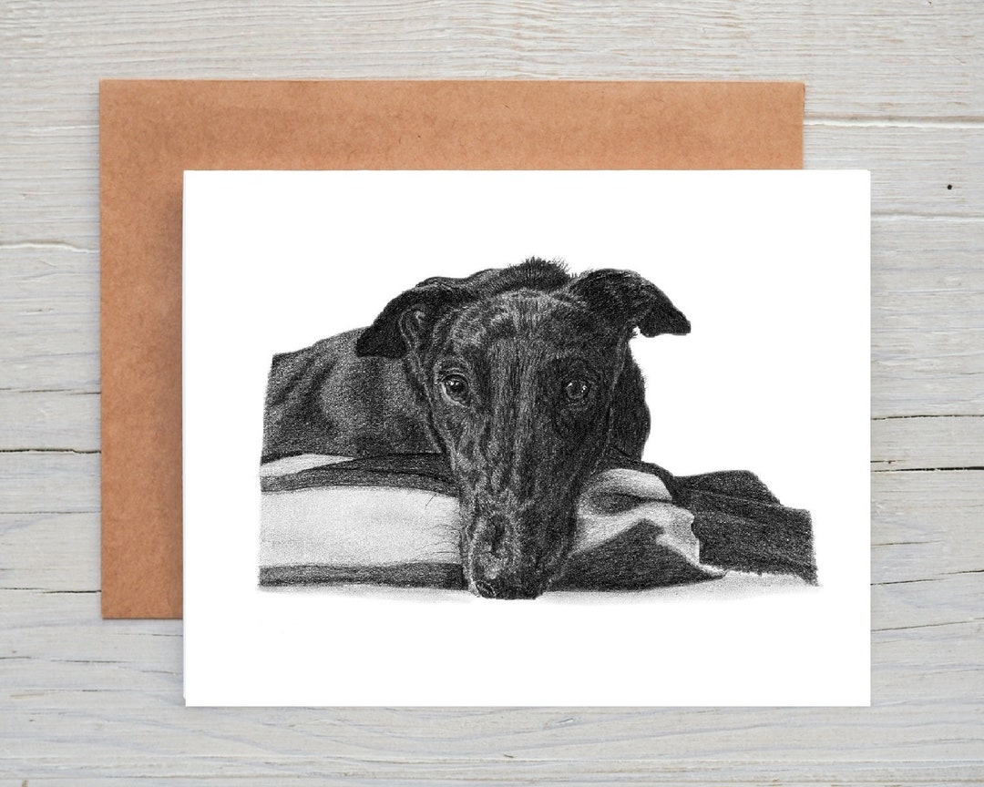 Greyhound (no.13) Dog Art Greetings/note Card/print (can Be ...