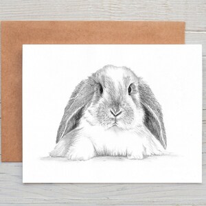 Lop Eared Rabbit Bunny no.1 Art Drawing Prints A4/A3 Size, Greetings ...