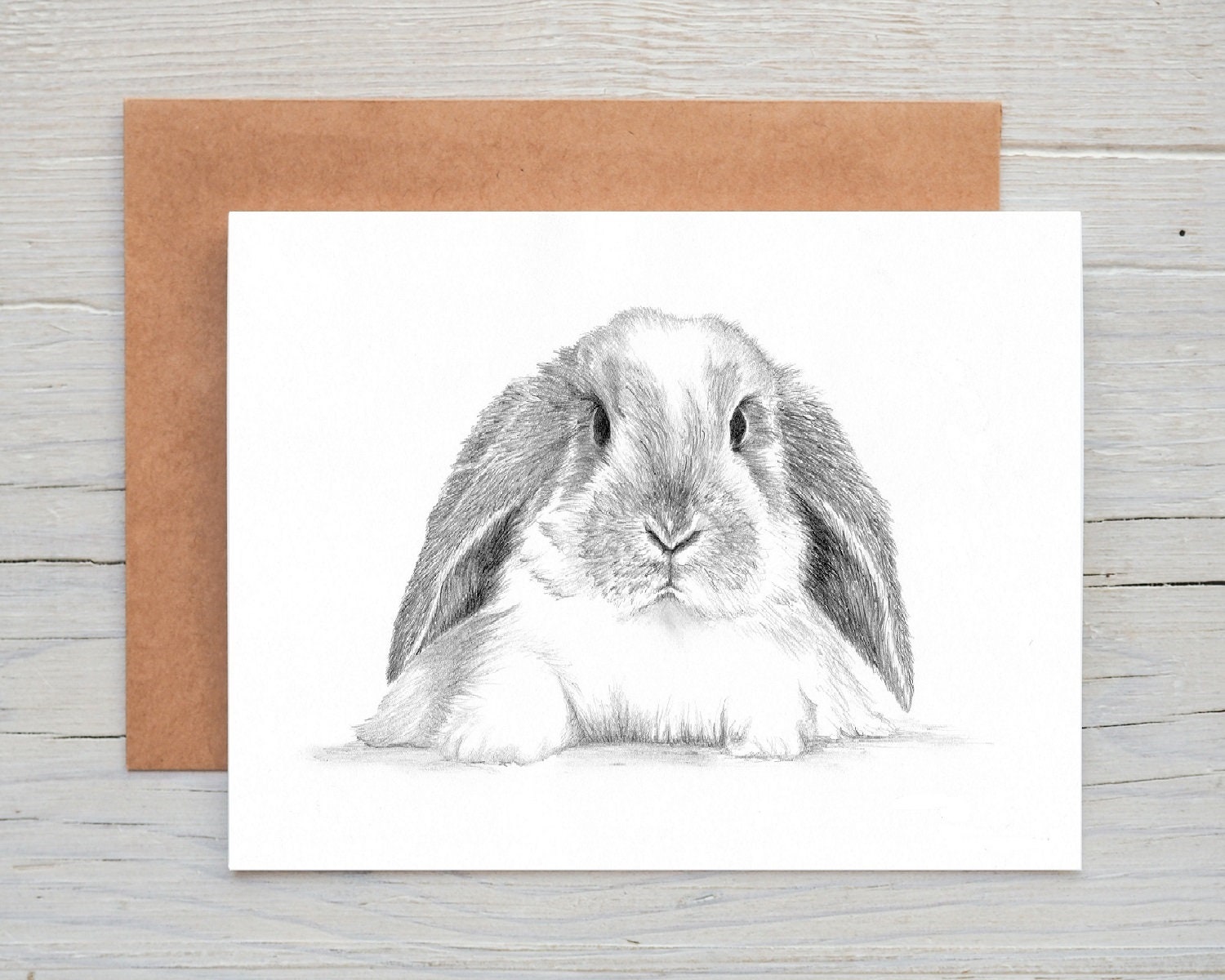 Lop Eared Rabbit Bunny no.1 Art Drawing Prints A4/A3 Size, Greetings ...