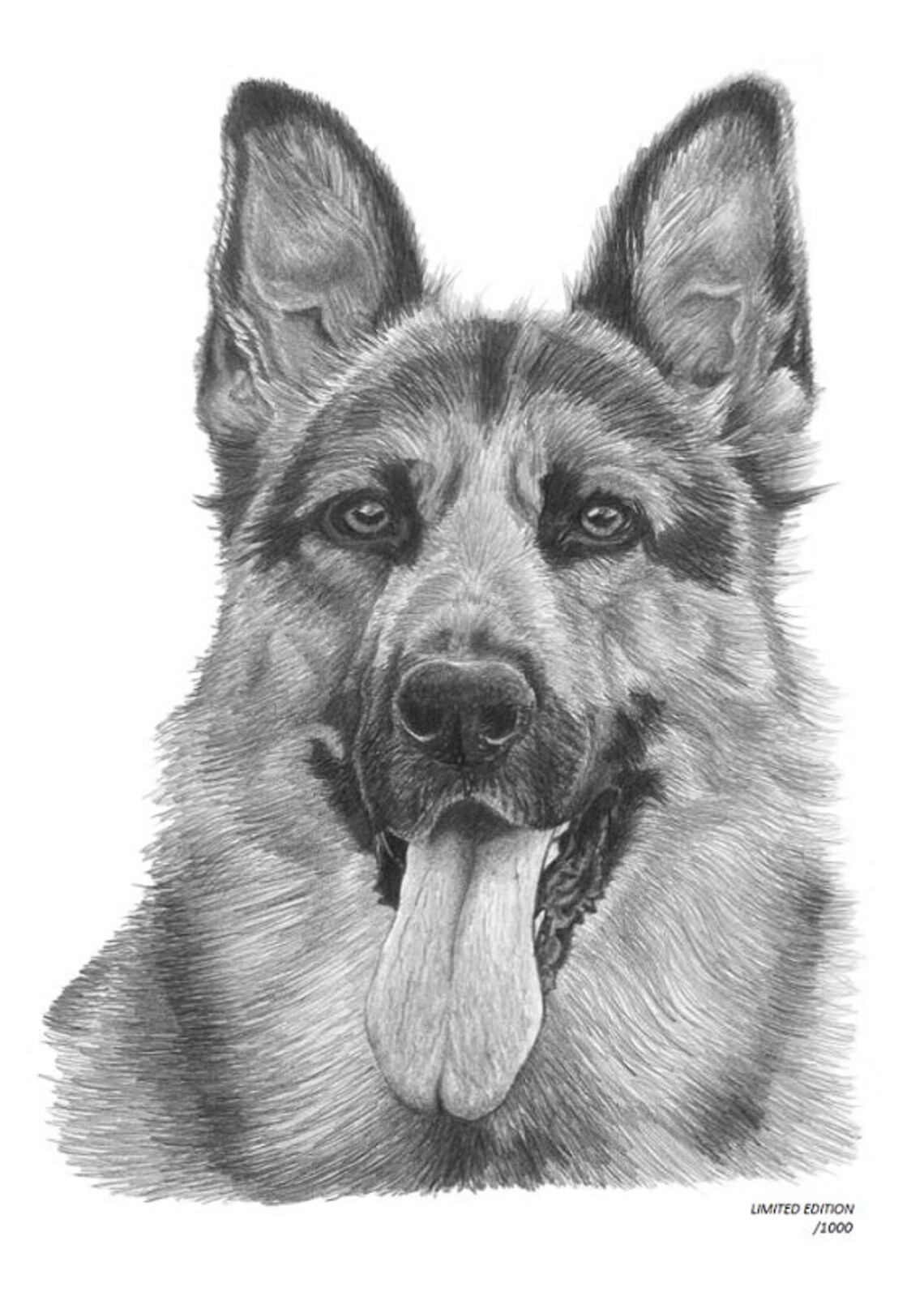 German Shepherd Dog no.1 Art Drawing Prints A4/A3 Size, Greetings/note ...