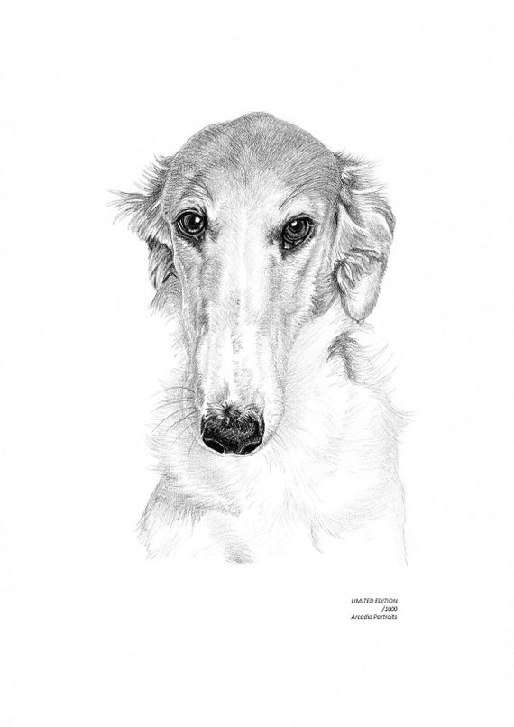 Borzoi Art Drawing Prints A4/A3 Size Greetings/note Card - Etsy UK