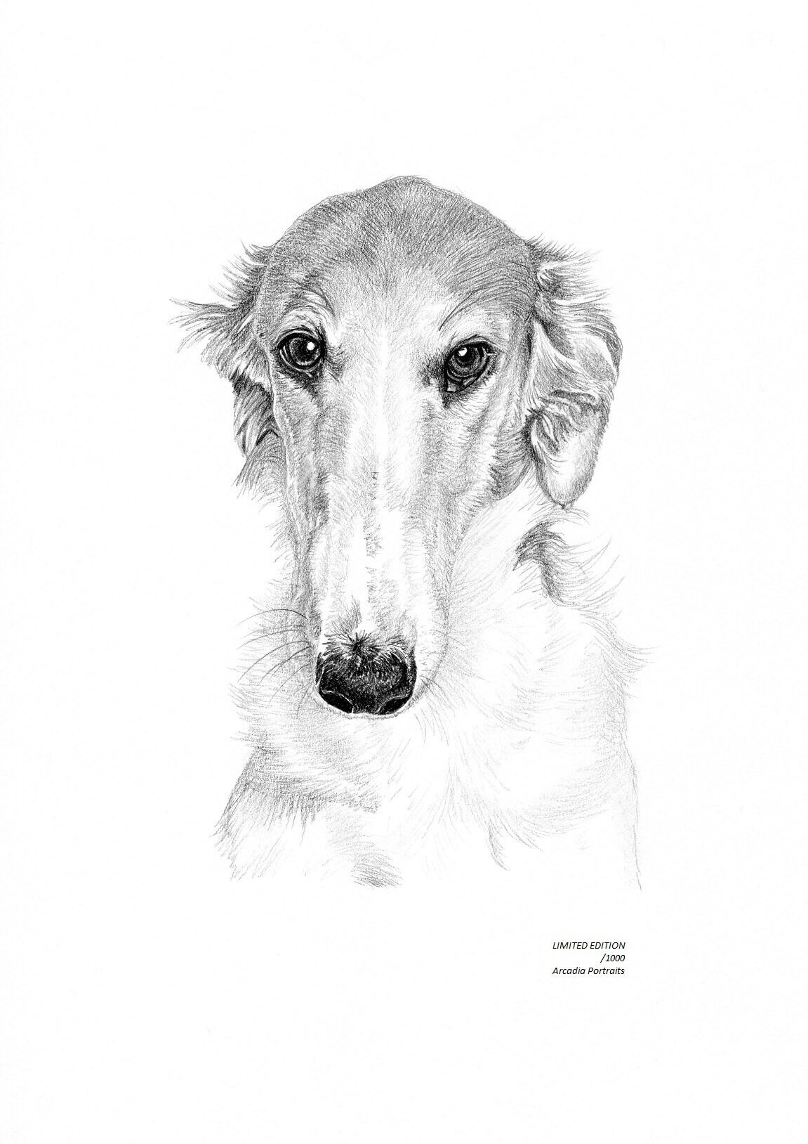 Borzoi Art Drawing Prints A4/A3 Size Greetings/note Card - Etsy UK