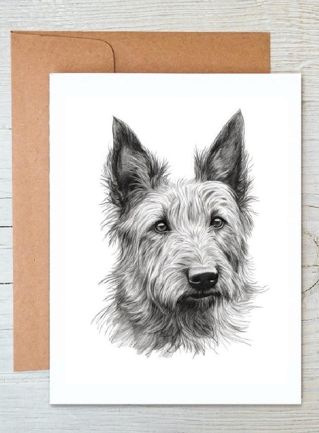 Berger Picard Dog Art Greetings/note Card (can Be Personalised) / Art ...