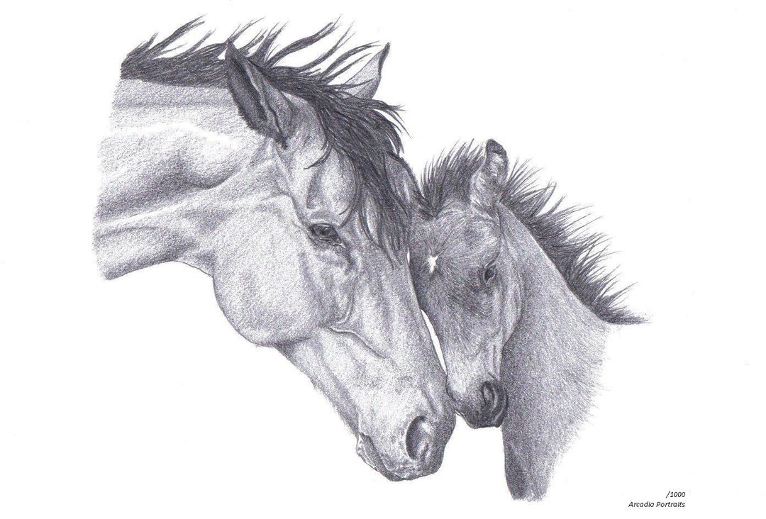 Horse Mare & Foal no.1 Art Drawing Prints A4/A3 Size, Greetings/note ...