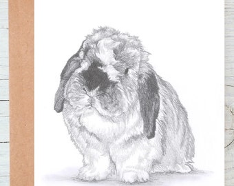 Lop Eared Rabbit Bunny no.1 Art Drawing Prints A4/A3 Size, Greetings ...