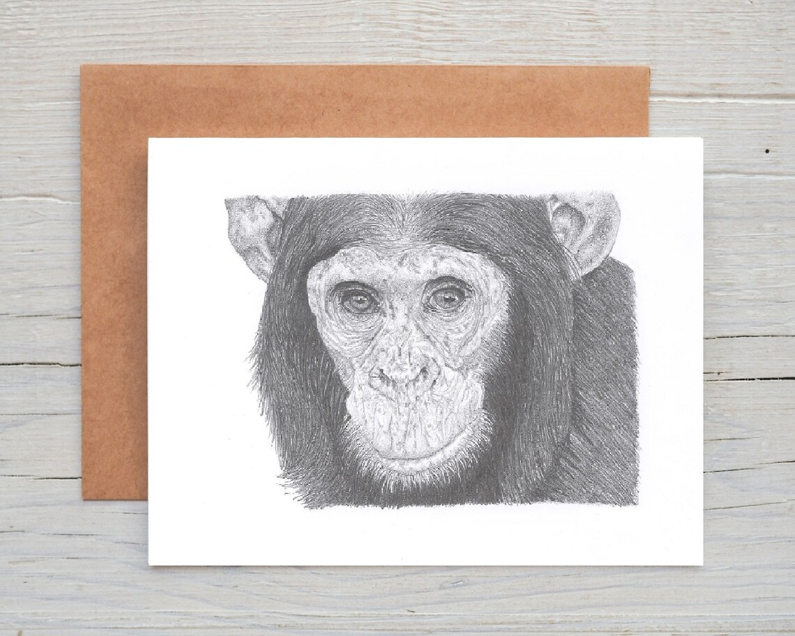 Chimpanzee, Chimp, Ape Art Drawing Prints A4/A3 Size, Greetings/note ...