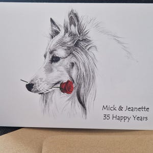 Rough Collie (no. 1) Love Card Valentines Card Anniversary Card Wedding ...