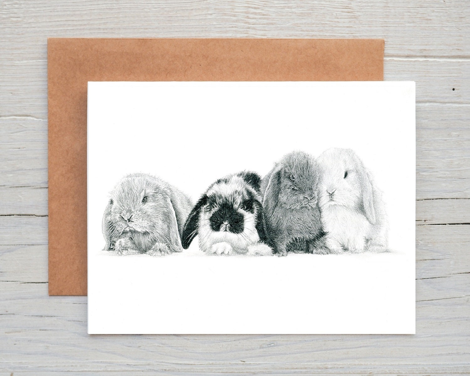 Lop Eared Bunny Rabbit Bunnie Chums Art Drawing Prints A4/A3 Size ...