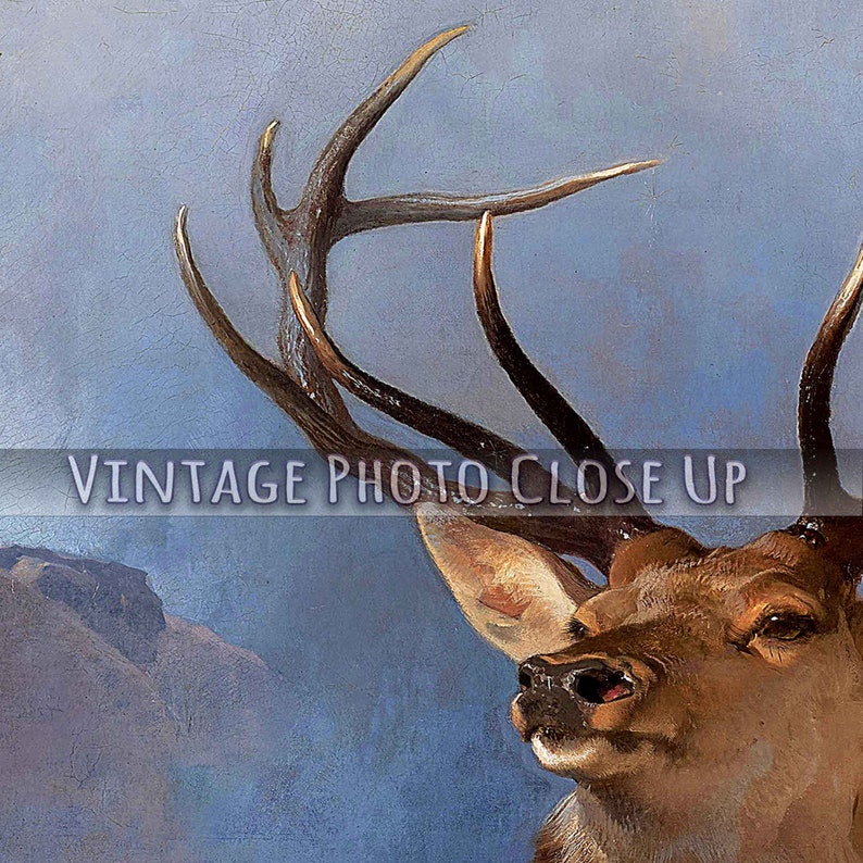 Stag Poster, Monarch of the Glen Stag Print, Red Deer Sir Edwin ...