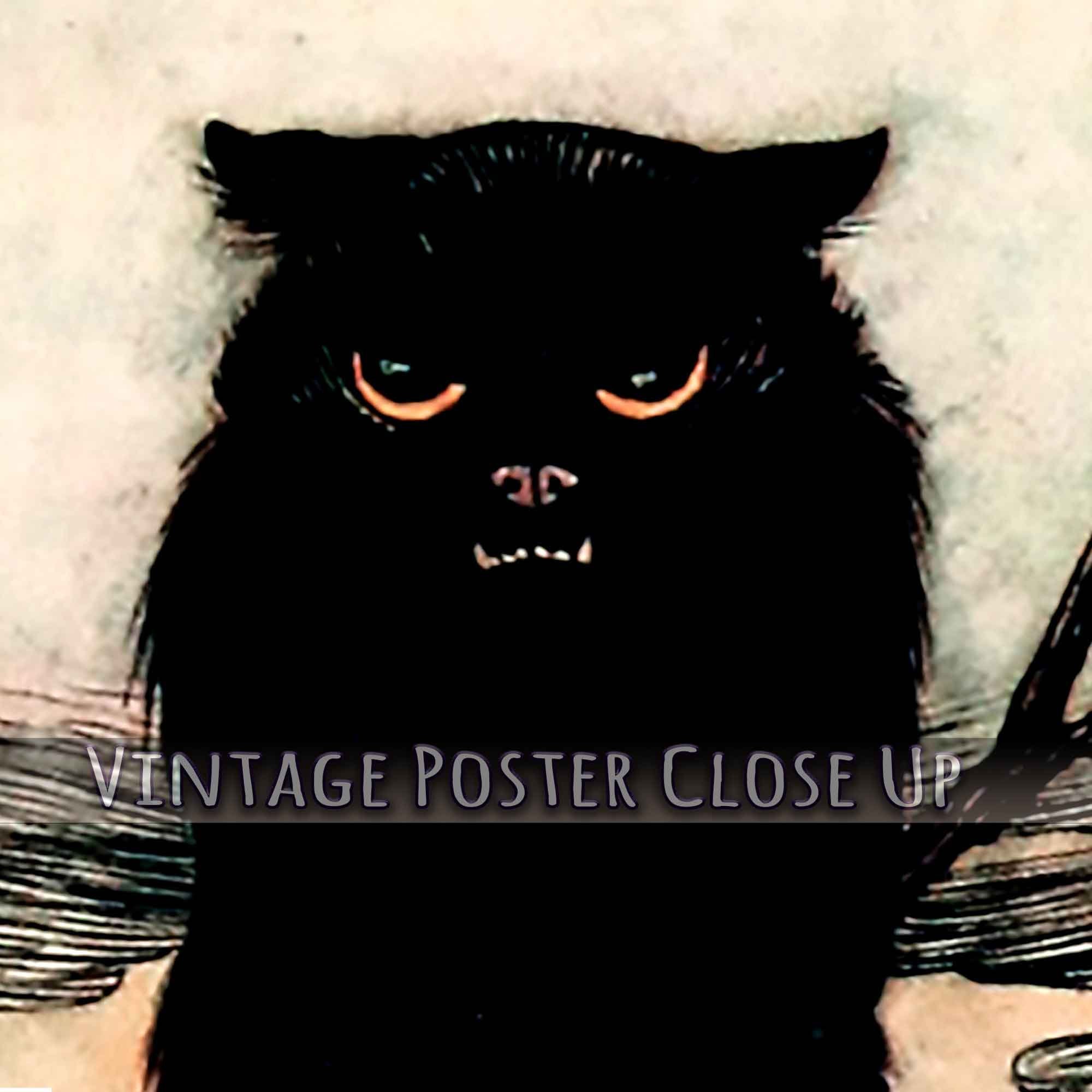 Arthur Rackham Witches Cat Poster: Vintage Halloween Art Print - Etsy