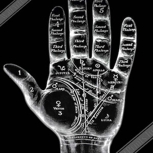 Palmistry Poster, Palmistry Hand Print Spooky White on Black Life Line ...