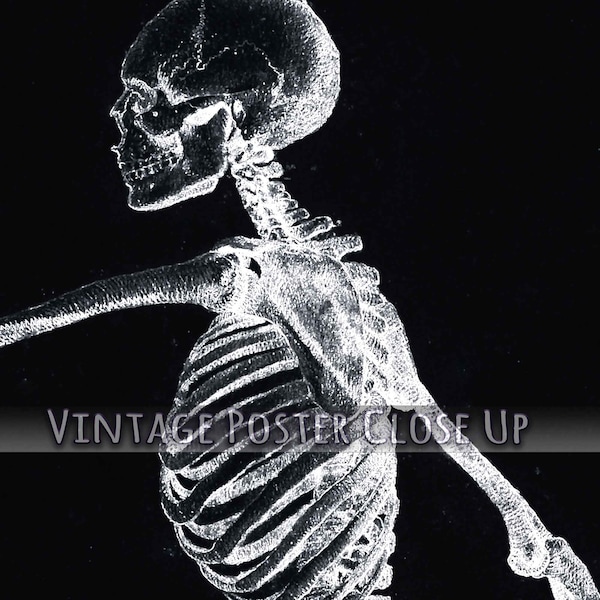 Skeleton Poster - Etsy UK