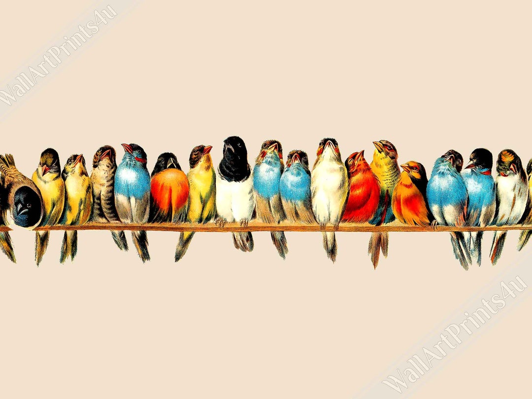 Hector Giacomelli Bird Print: Vintage Perch of Birds Poster - Etsy