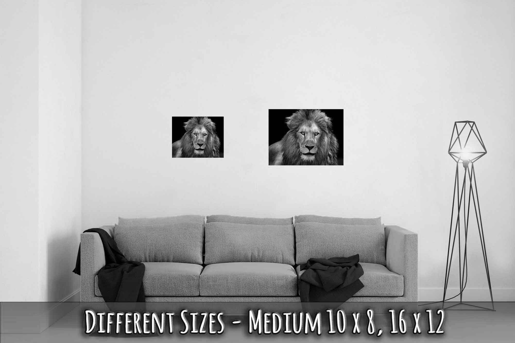 Lion Poster Black and White Giant Lion Poster, Epic Lion Wall Art ...