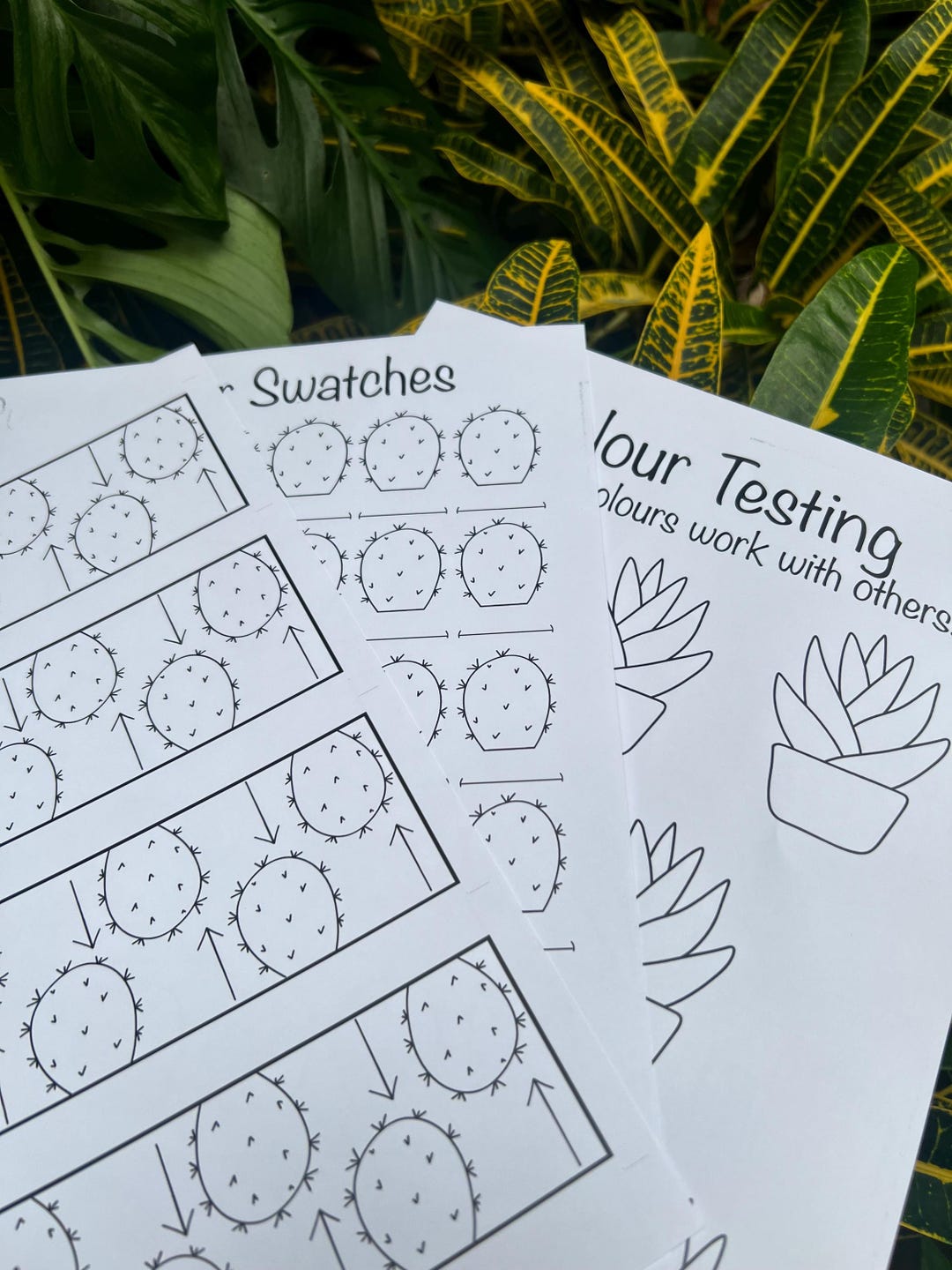 Blank Swatch Templates - Cacti - Etsy