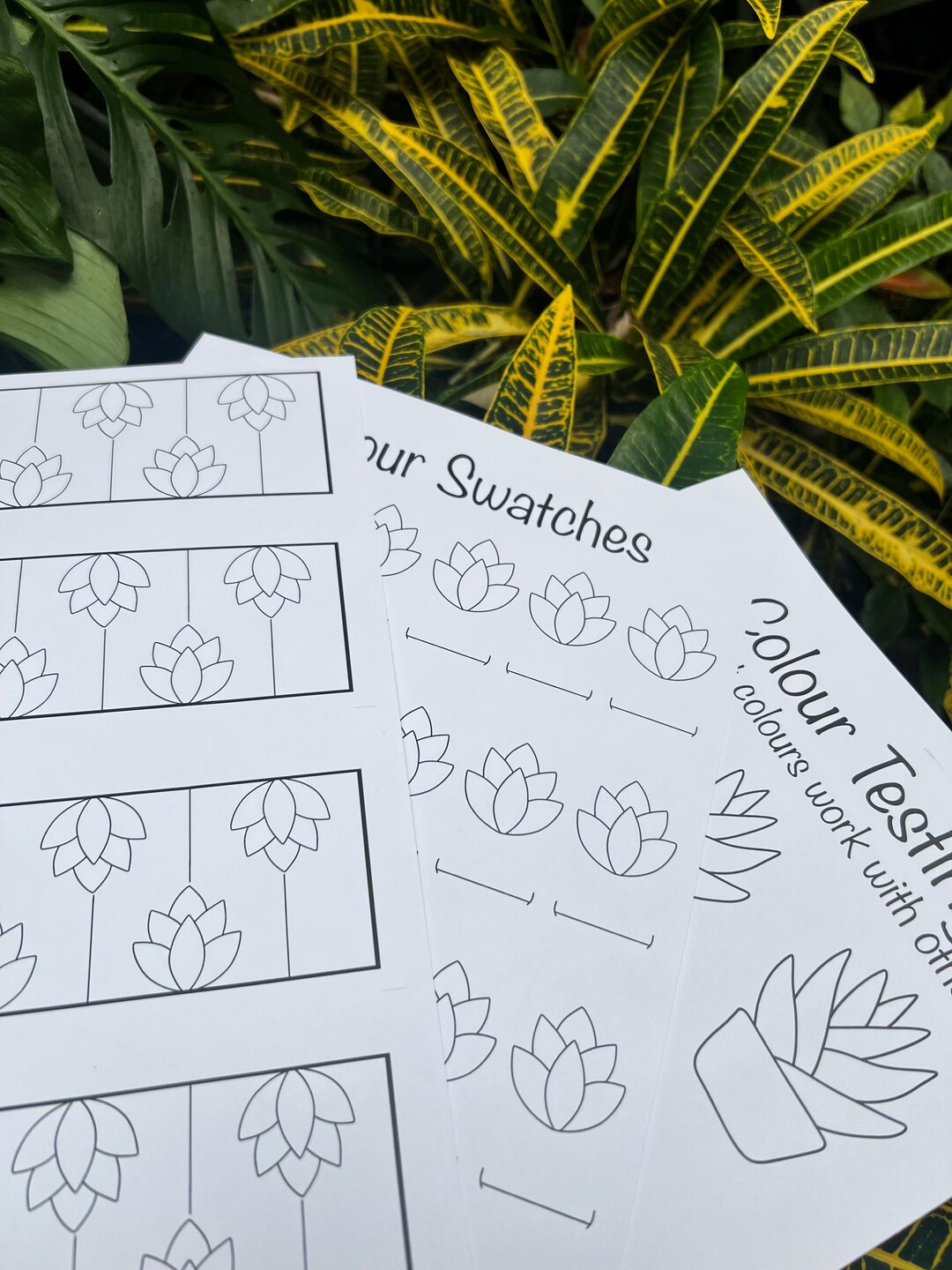 Blank Swatch Templates - Succulent - Etsy