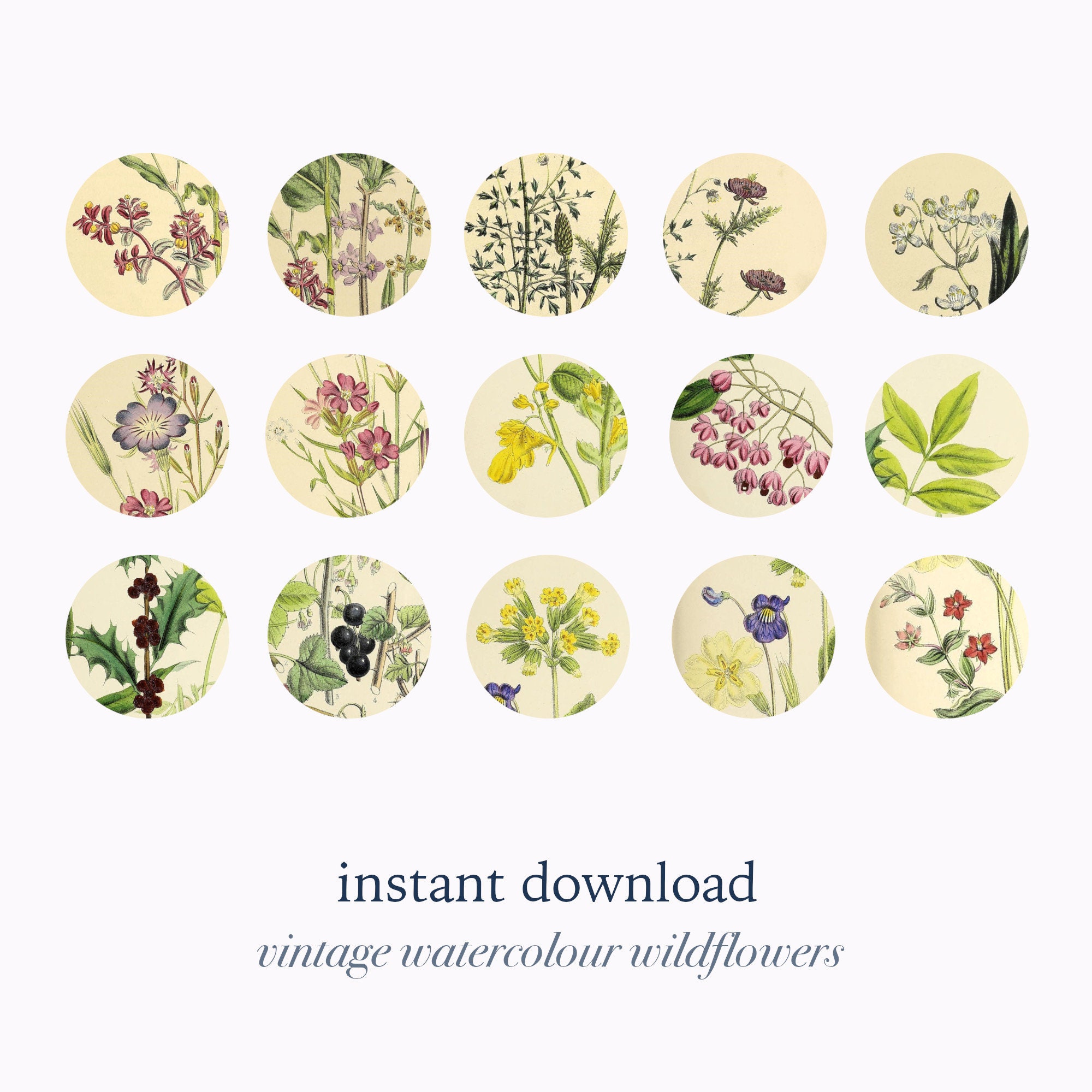 30 Wildflower Instagram Story Highlight Covers Nature IG Highlight ...