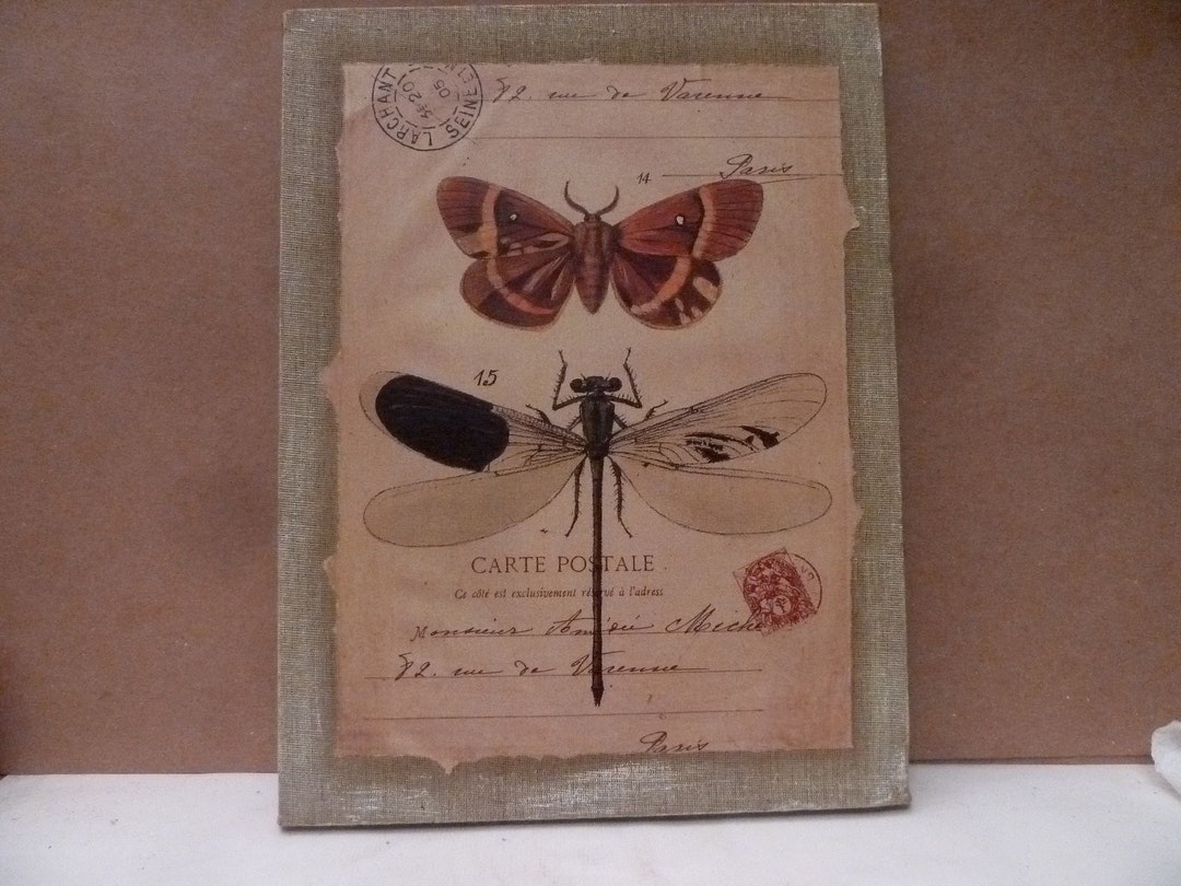 Insect Naturalistic Board, Printing on Canvas, on Chassis - Etsy