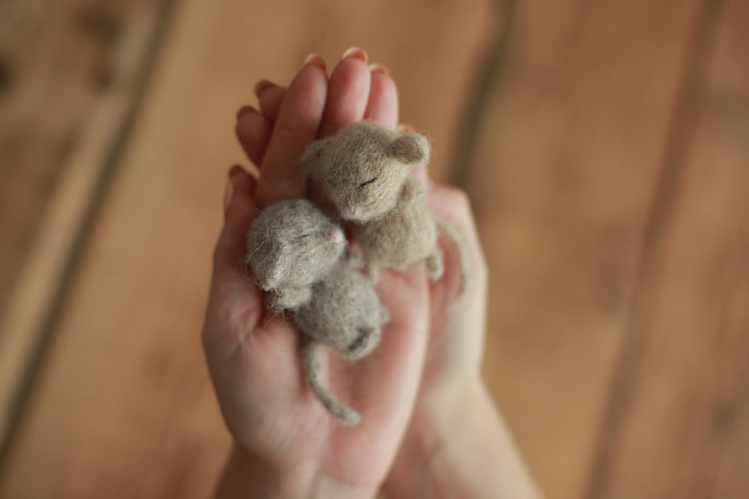 Miniatyre Cute Mouse Toy Baby Shower Gift, Newborn Photo Props ...