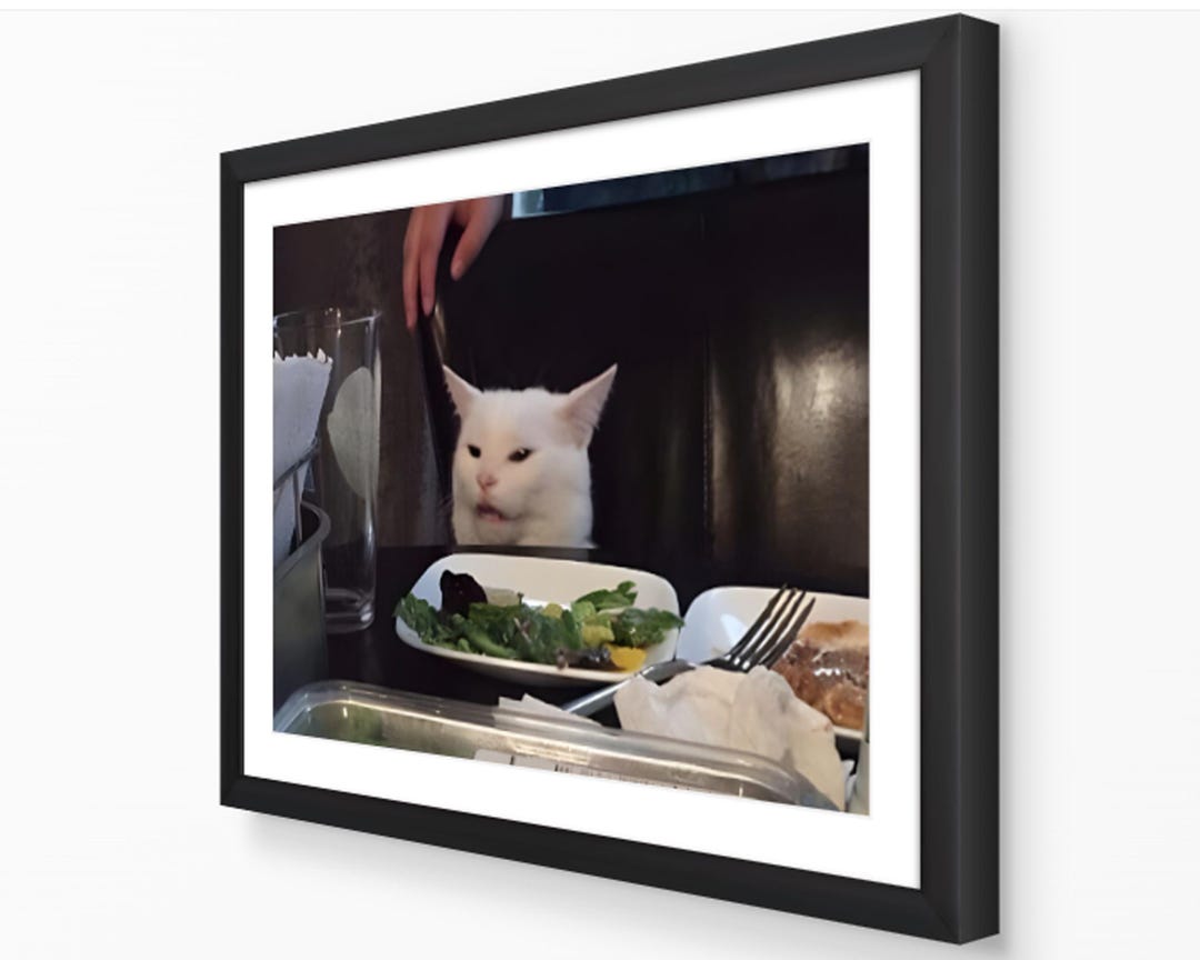 Confused Dinner Cat - Classic Meme Poster | Nostalgic Internet Meme ...