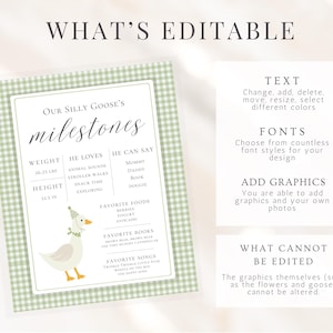 One Silly Goose Birthday Party Milestone Board 16" X 20" | Editable ...