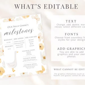 One Silly Goose Birthday Party Milestone Board 16 X 20 Editable Digital ...