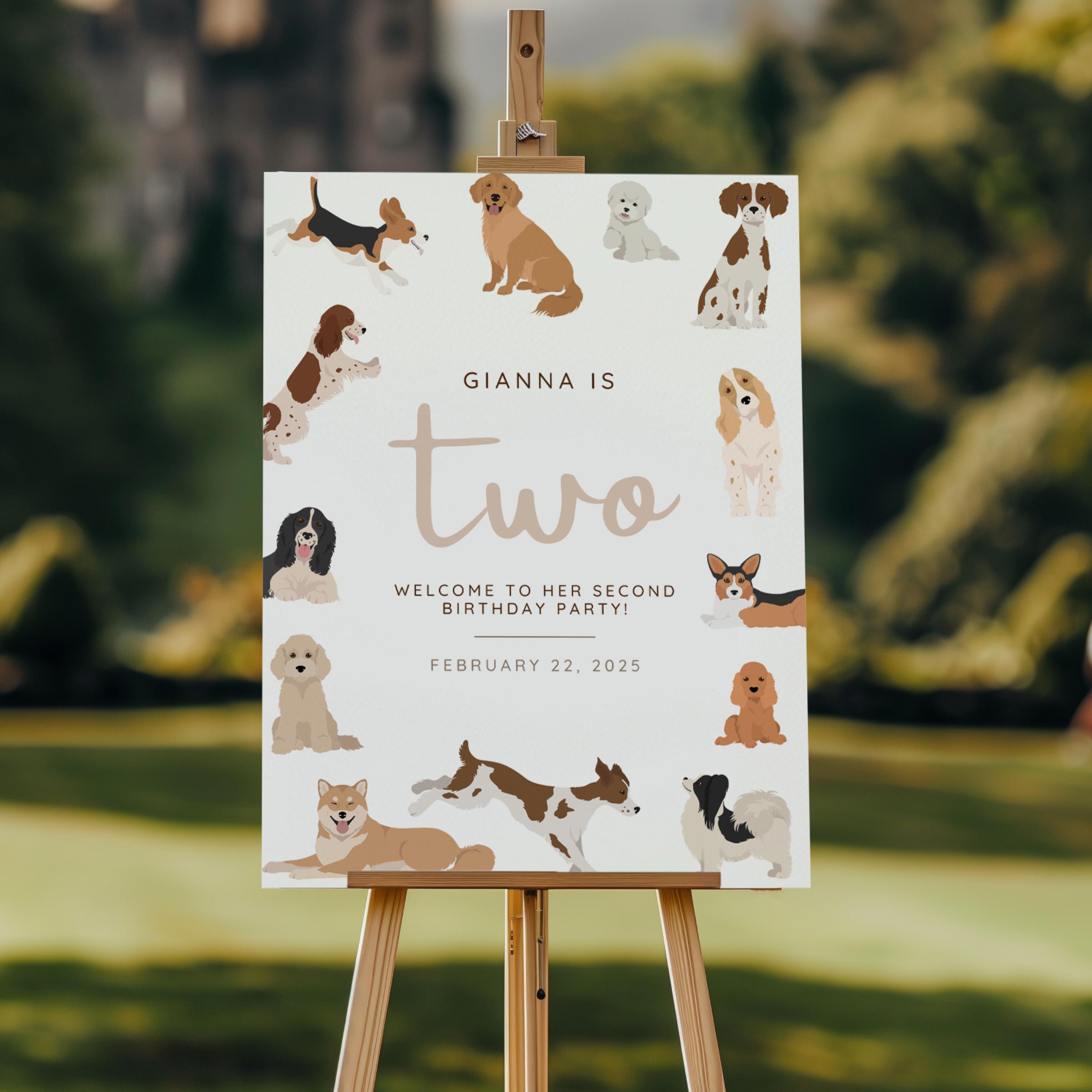 Two Let the Dogs Out 2nd Birthday Party Decor for Girl or Boy, Second ...