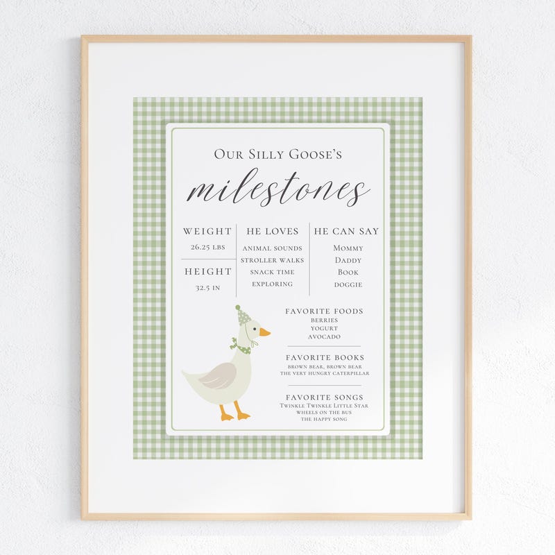 Silly Goose Birthday Party - Etsy