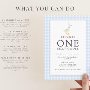 One Silly Goose Birthday Invitation Template | Canva Editable Digital ...