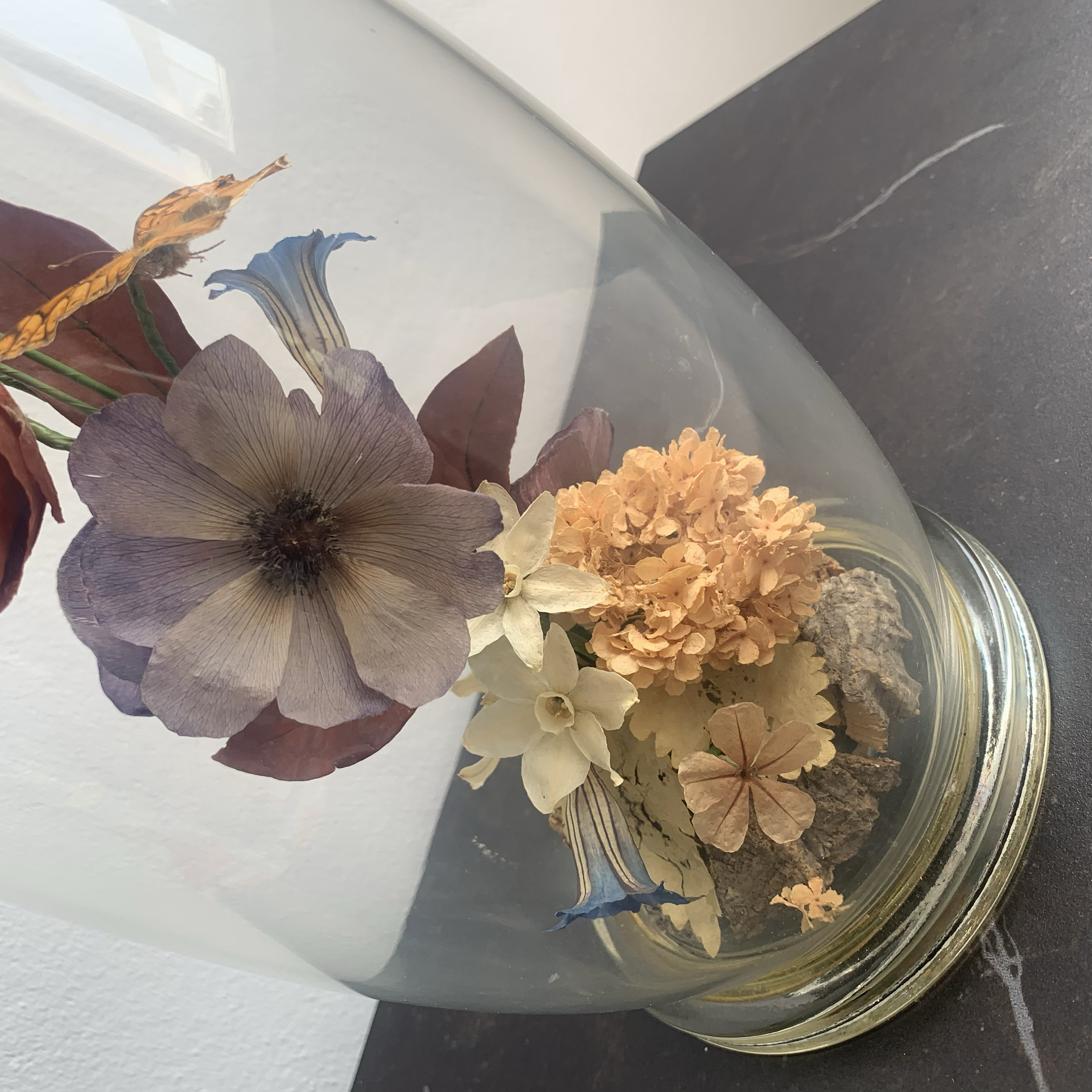 Preserved Flower Display in Glass/ Michael R Curzon / Dome Vintage Real ...