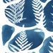 Original Cyanotype Art Print - Etsy