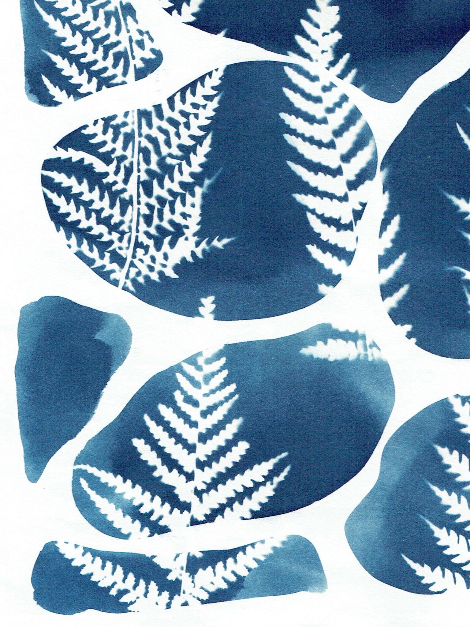 Original Cyanotype Art Print - Etsy