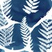 Original Cyanotype Art Print - Etsy