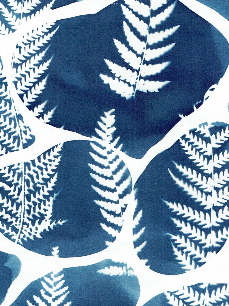 Original Cyanotype Art Print - Etsy