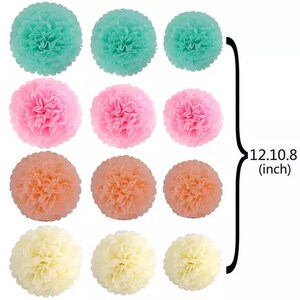 Pastel Tissue Tassel Garland Banner DIY Kit,pom Poms Flowers,party ...