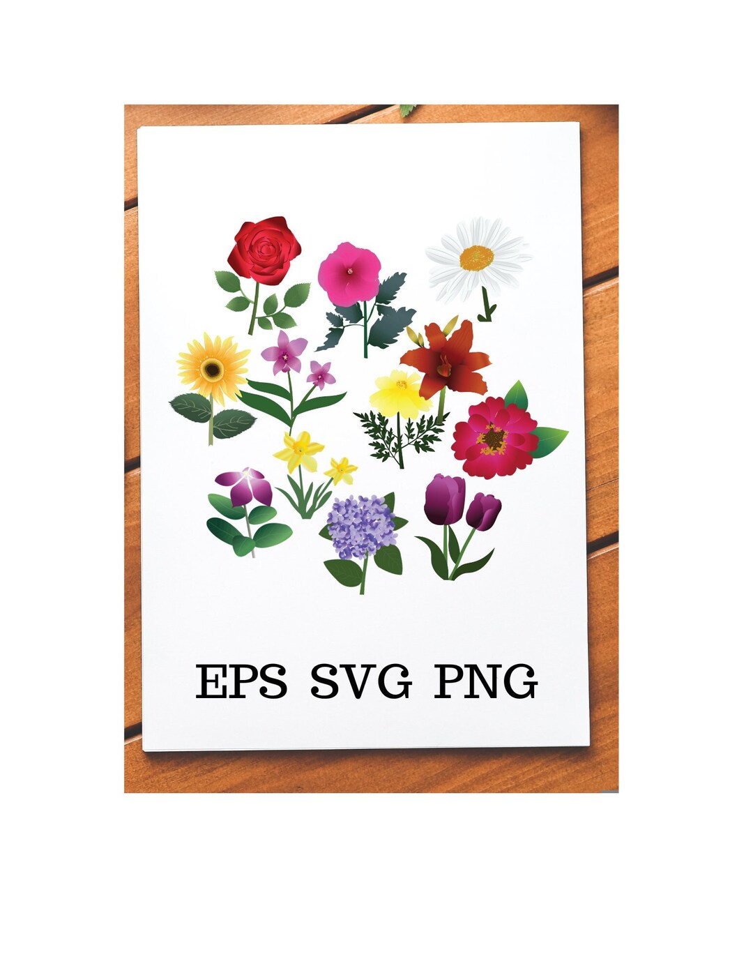 Flowers Clipart Set, Colorful Floral, Sublimation, Flowers PNG, Cute ...