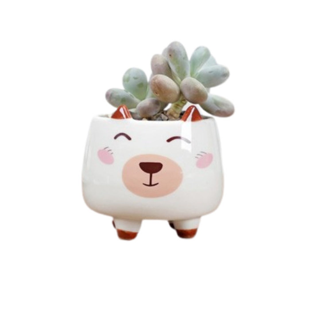 Cute Animal Planter. Unique Puppy Dog Succulent and Cacti Mini Pot. - Etsy