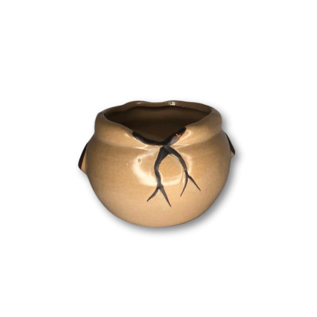 Tan Ceramic Pot With Cracked on Rim Cactus Succulent Planter - Etsy