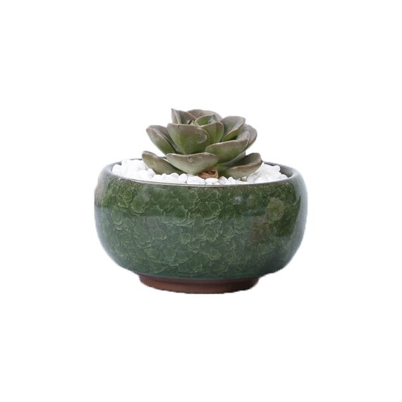 Dark Green Bowl Glazed Cracked Pattern Ceramic Succulent Pot - Etsy