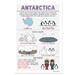 Quarterhouse Antarctica Poster, Social Studies Classroom Materials for ...