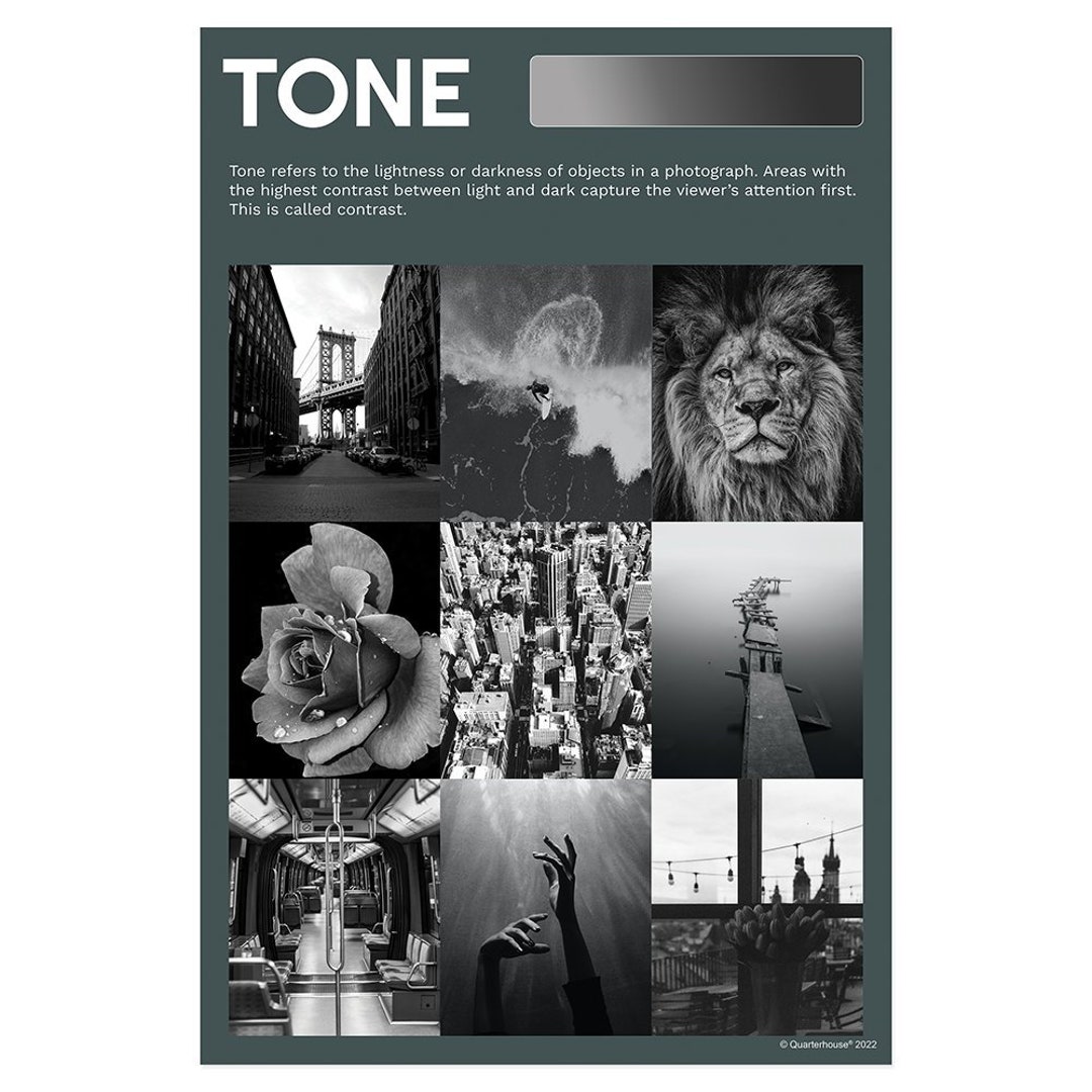 Quarterhouse Elements of Photography Tone Poster, Art Classroom ...