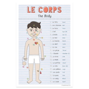 Quarterhouse French Vocabulary - the Body Poster, French and ESL ...