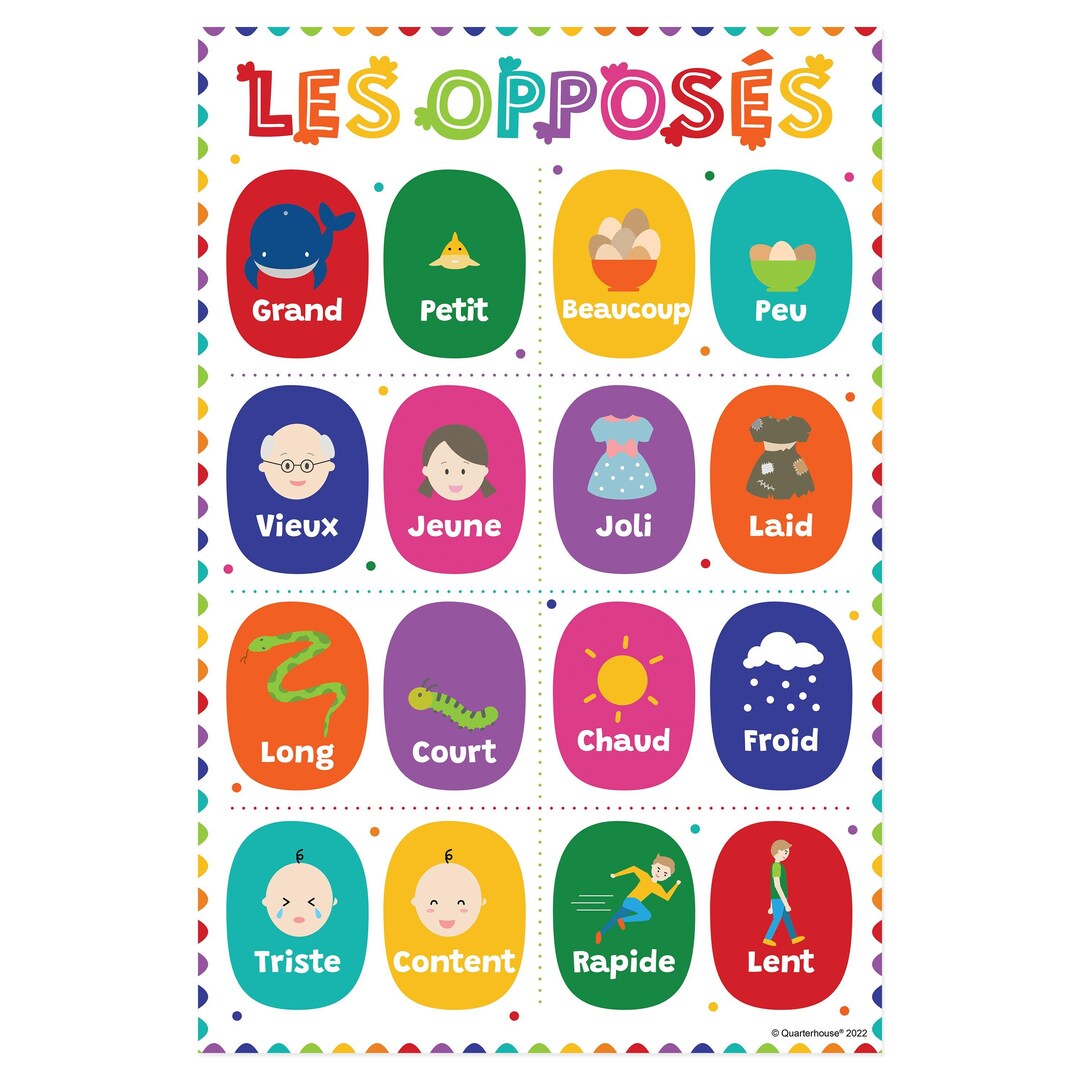 Quarterhouse Beginner French - Opposites Poster, French and ESL ...
