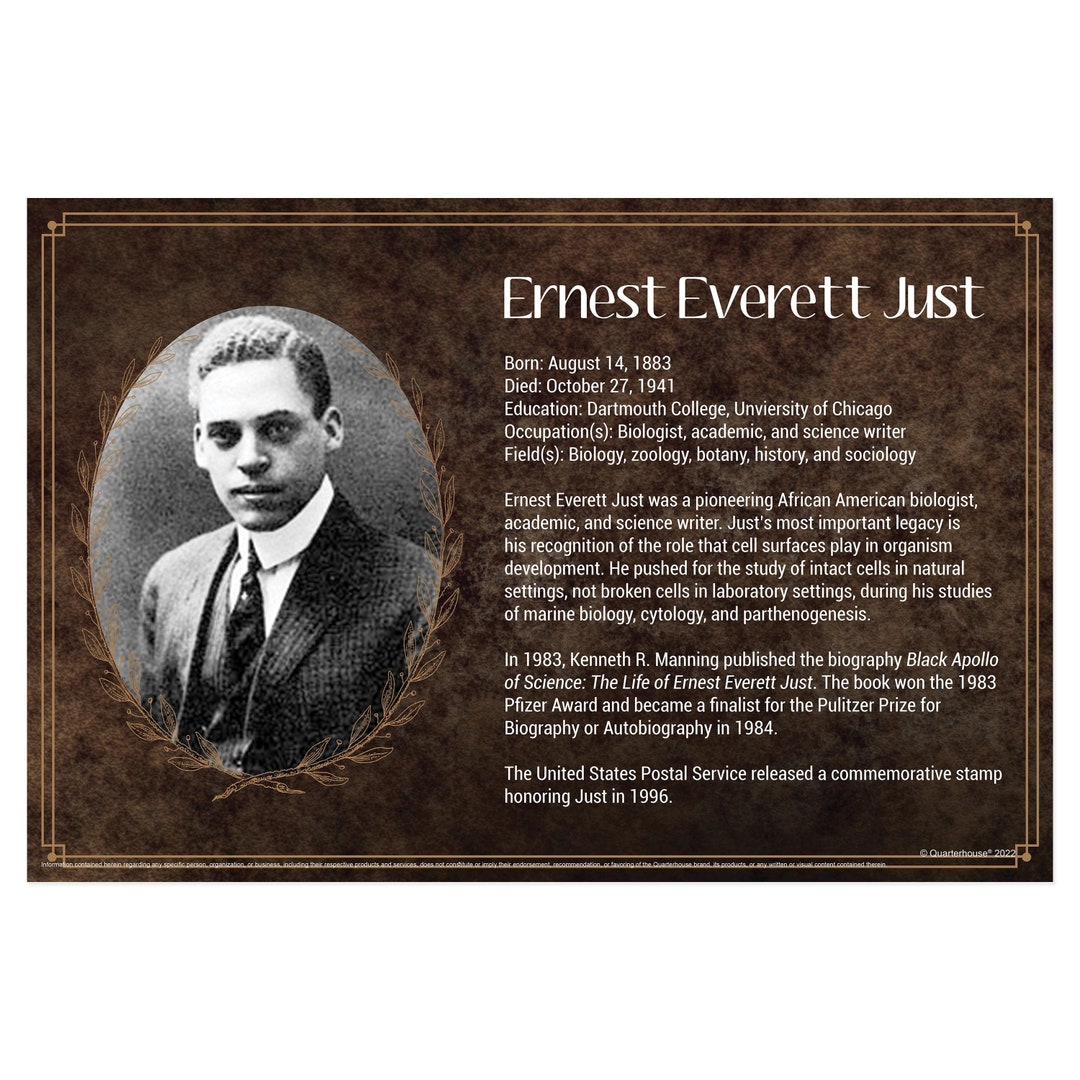 Quarterhouse Black Scientists Ernest Everett Just Biographical Poster ...