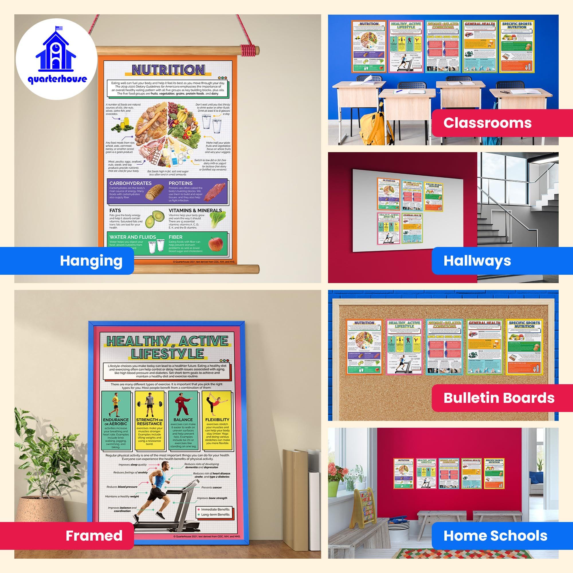 Quarterhouse Healthy Lifestyles Poster Set, Health and Physical ...
