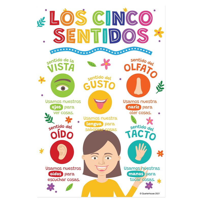 Quarterhouse Beginner Spanish - Five Senses Poster, Spanish and ESL ...