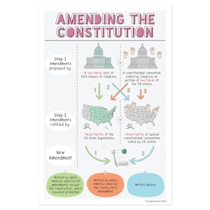 Quarterhouse Illustrated Amending the Constitution Poster, Social ...