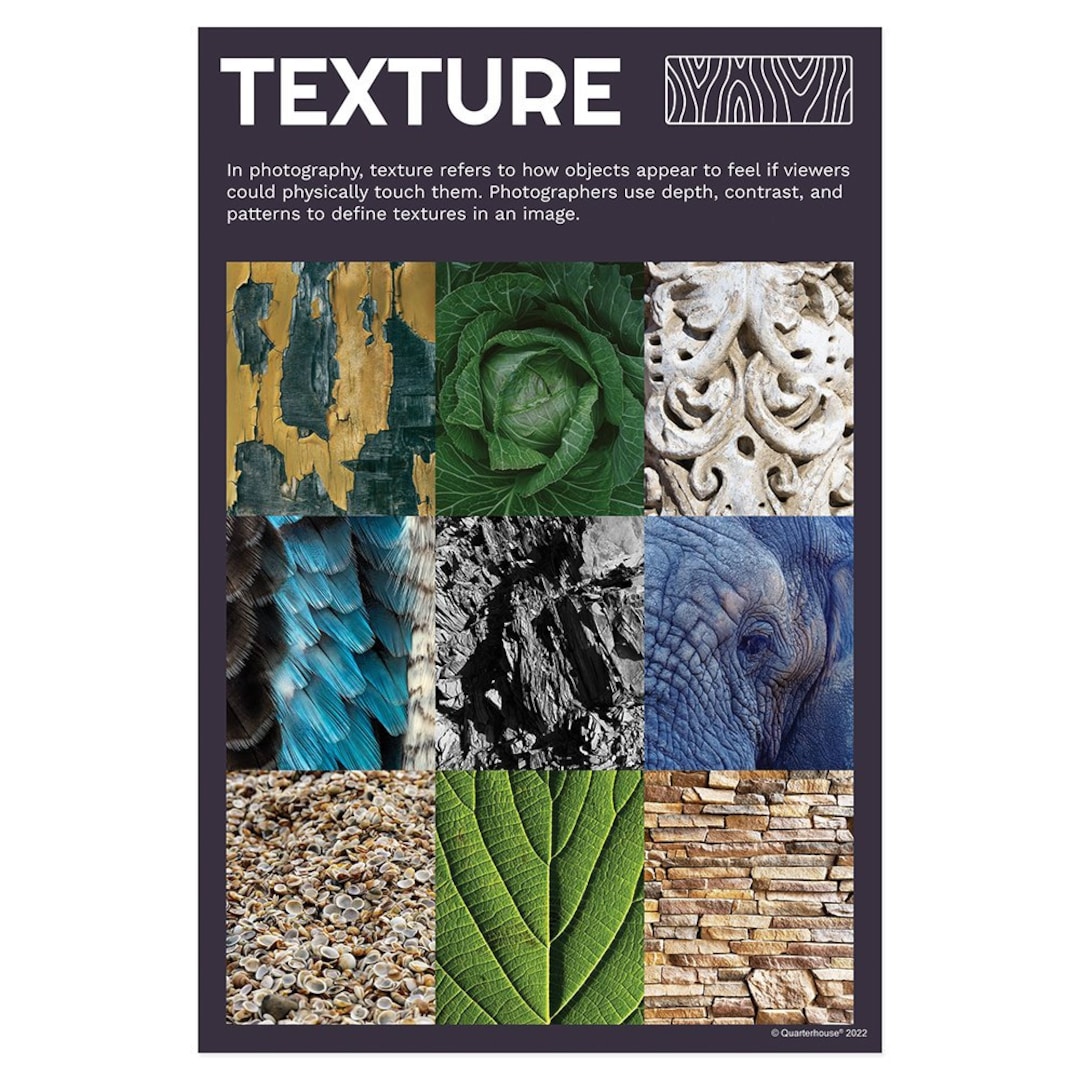 Quarterhouse Elements of Photography - Texture Poster, Art Classroom ...