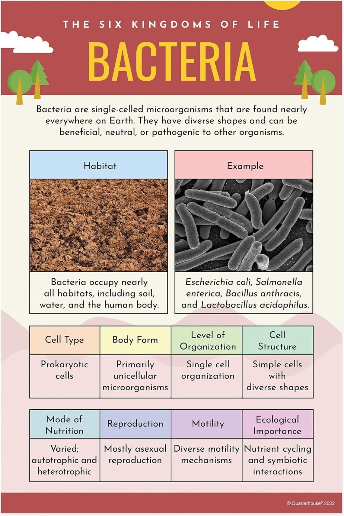 Quarterhouse Six Kingdoms of Biology Poster Set, Science Classroom ...